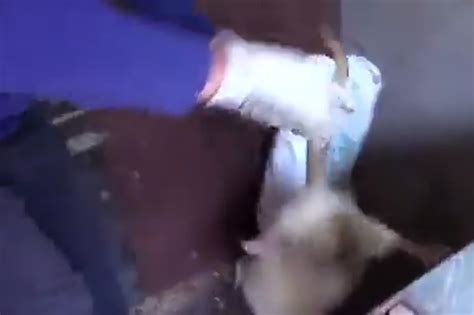 Yuval Leshem Mba On Linkedin Java Javascript Css Html Frontend React Js Angular Backend