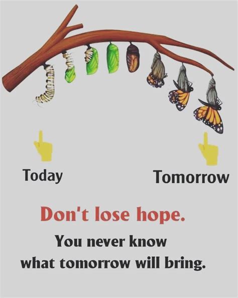 Hr Vanita Kakadiya On Linkedin Do You Agree 👇 21 Comments