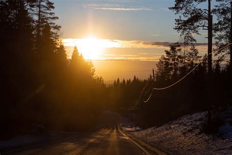 Foto Silueta De árboles Durante La Puesta Del Sol Imagen La Carretera