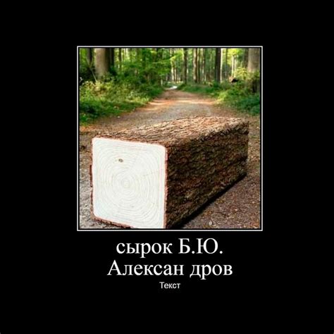 сырок Б.Ю. алексан дров текст | Мемы, Забавные картинки, Веселые мемы