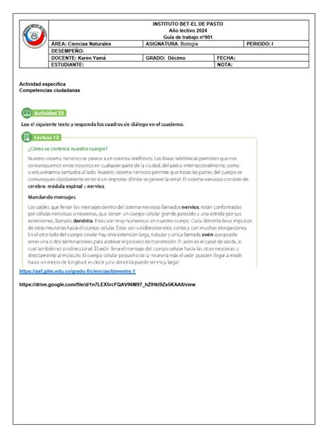 Formato De Guia 03 04 2024 Pdf