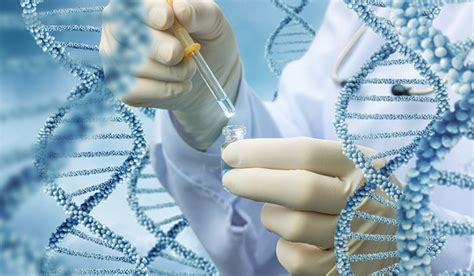 Four Ways Dna Testing Can Be Beneficial Lesson Paths