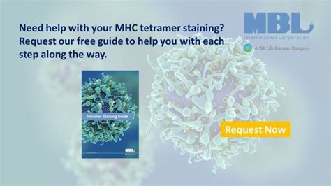 Mbl International Corporation On Linkedin Tetramer Staining Guide 2021
