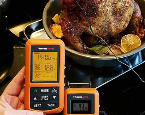How To Put Thermometer In Turkey Correctly Thermopro Guide