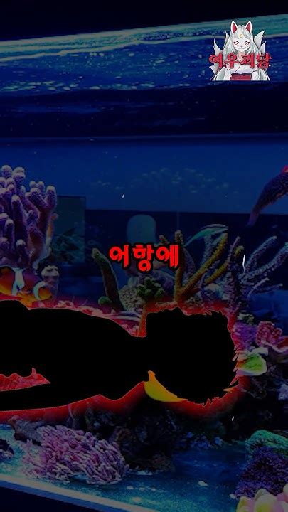 첫눈에 반한 소년을 어항에 보관한 남성 Youtube