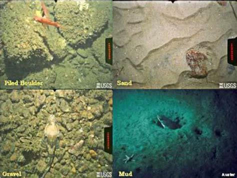 Ppt Oceanic And Continental Crust Powerpoint Presentation Free
