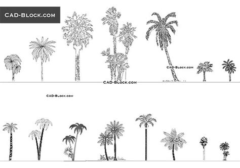 Palm Trees DWG Vector Drawings
