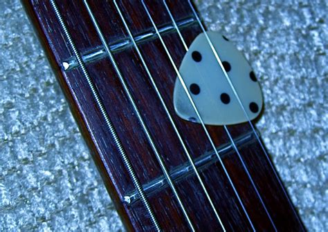 무료 이미지 푸른 슬라이드 기타 뽑아 낸 현악기 어쿠스틱 기타 베이스 기타 닫다 전자 기타 비행 2400x1706 238330 무료 이미지