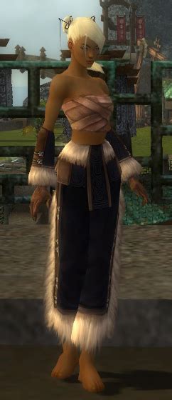 Gallery Of Female Monk Norn Armor Guild Wars Wiki Gww