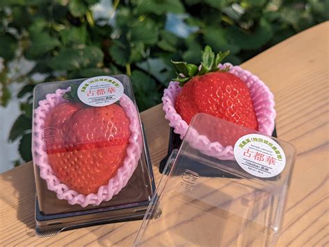ひと粒の幸せ‼『古都華』いちご特別栽培農産物 6個入1箱：奈良県産の古都華｜食べチョク｜産地直送産直お取り寄せ通販 農家・漁師から旬の