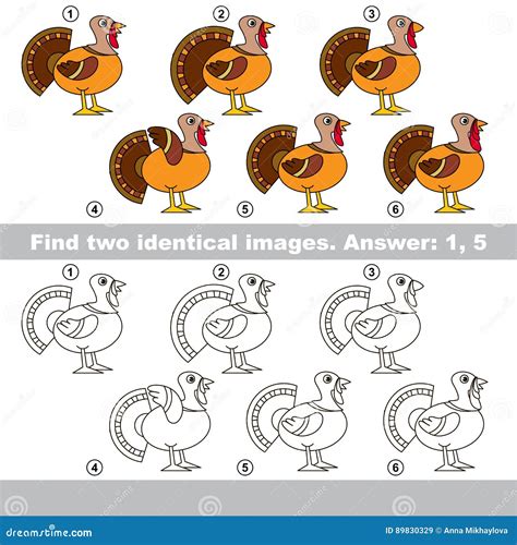 visual game find hidden pair of objects stock vector illustration