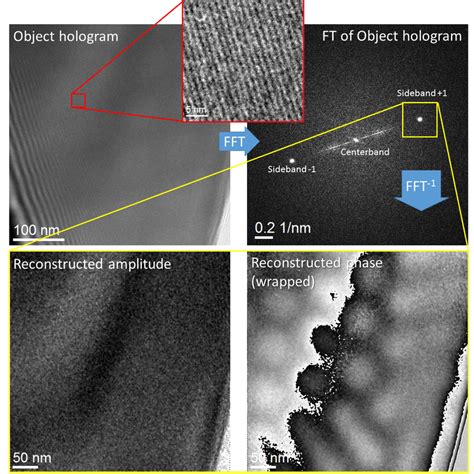 Object Hologram Reconstruction By Fourier Method Yielding The Object Download Scientific