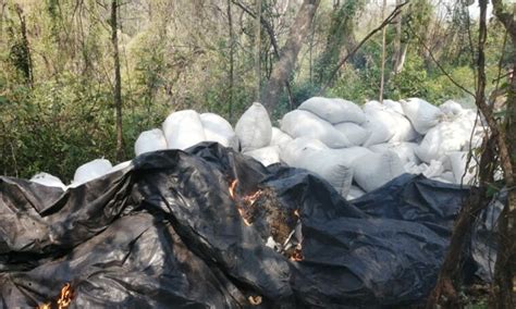 Golpe de más de 19 millones de dólares a narcos OviedoPress