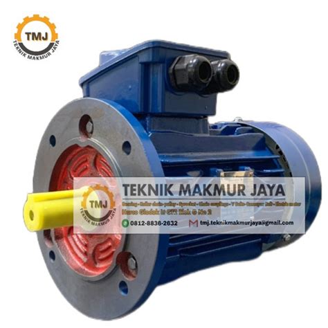 Jual ELECTRIC MOTOR 3PHASE B5 4P 3HP FLANGE VERTIKAL Jakarta Barat TEKNIK MAKMUR JAYA