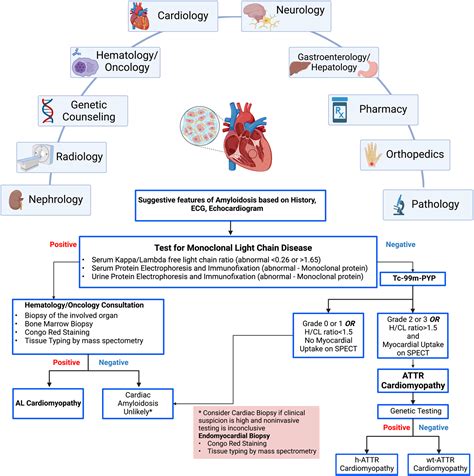 Ttr Amyloidosis Current State Of Affairs And Promise For The Future