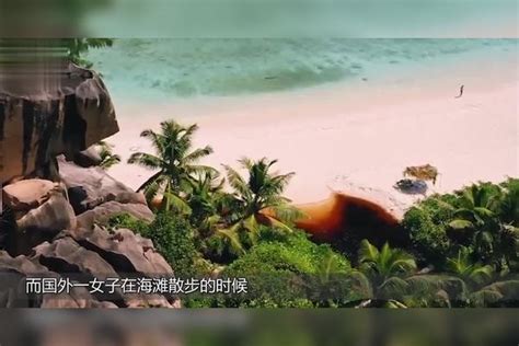 女子海滩发现鳄鱼头本以为眼花了凑近一看不淡定 鳄鱼 海滩 女子