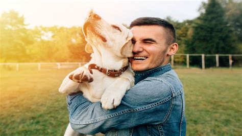 Ways Dogs Can Help A Person Bring Happiness In Life Successyeti