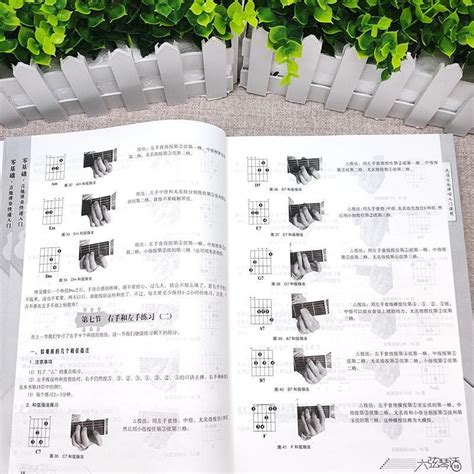 零基础学吉他弹奏快速入门吉他教学初学者新手吉他谱流行歌曲书籍 零基础学吉他报价 参数 图片 视频 怎么样 问答 苏宁易购