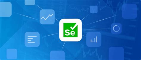 Introducci N A Selenium Testing