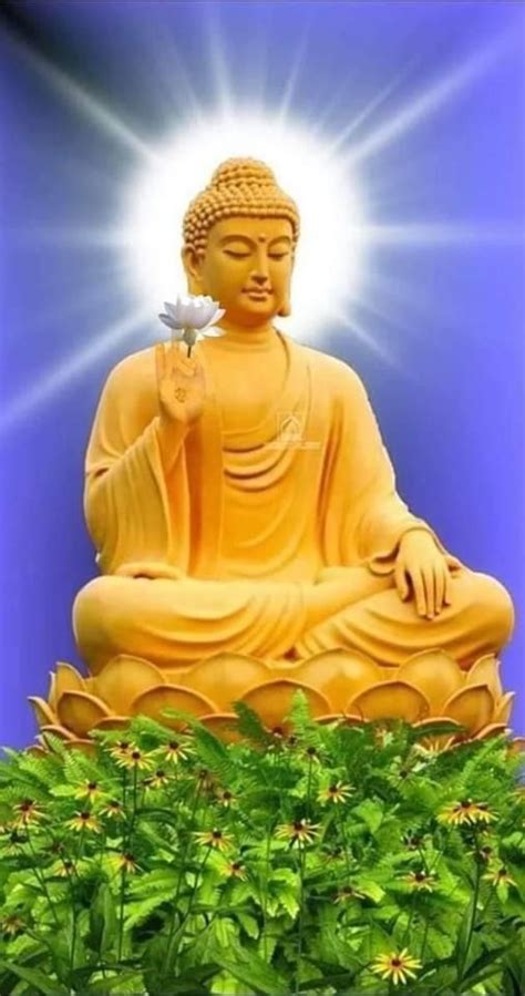 20 Hình Ảnh Phật A Di Đà Tuyệt Đẹp Cầu Bình An May Mắn