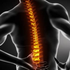 How To Use An Ab Roller For Your Lats Unusual Yet Effective Workouts