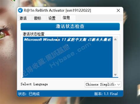 [windows] 国外大神激活工具 r 1n rebirth activator v1 1 黑域基地