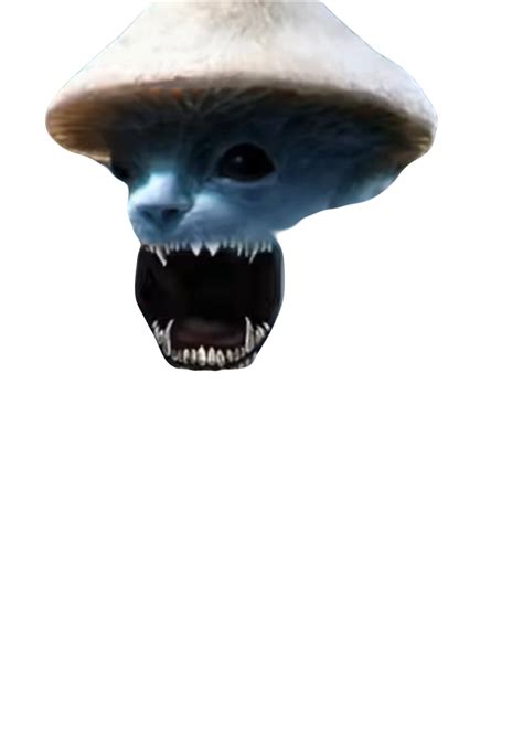 Smurf Cat Angry Head By Handmanmurr12 On Deviantart