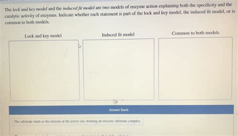 Solved The Lock And Key Model And The Induced Fit Model Are
