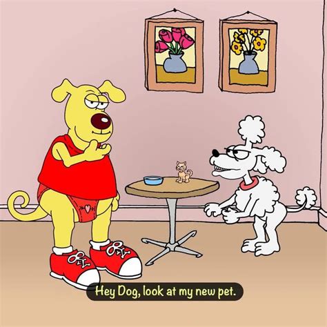 Fluffy Has An Adorable New Kittycat Wee Bit Small Though Hmmmm Kittycat Newcat Catcartoon