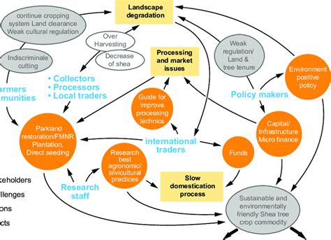 3 Outlook Diagram For Shea As Tree Crop Commodity Download