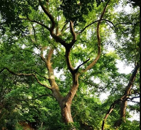 Using Redis As A Session Provider For Aspnet Net Framework By Agit Kaplan Medium