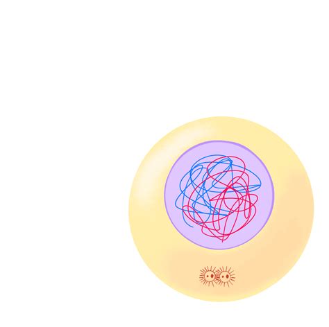 Interphase Album On Imgur