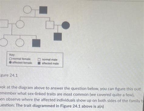 Solved Ok At The Diagram Above To Answer The Question Below Chegg Com