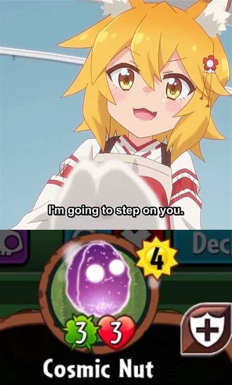 Gotta Get Em Futa Loli Rdankmemes