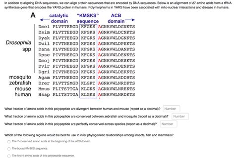 solved in addition to aligning dna sequences we can align