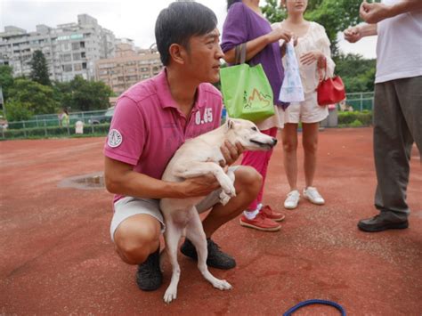 難忘過逝愛犬 于冠華領養Mia分身 社團法人中華民國保護動物協會