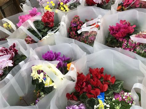 年末恒例！「花苗福袋」明日26日から販売します！ オザキフラワーパーク