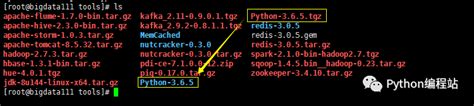 Linux服务器安装python教程 阿里云开发者社区