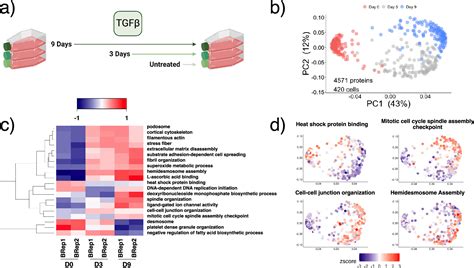 Dynamics Of Single Cell Protein Covariation During Epithelialmesenchymal Transition Journal
