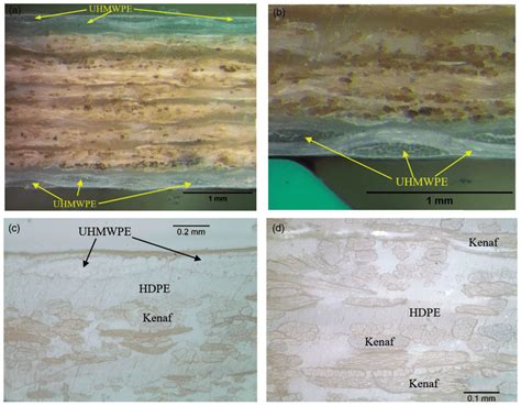 A The Overall Through Thickness Microstructure Of Sample Download Scientific Diagram