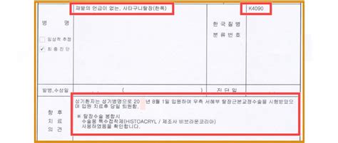 탈장 수술 후기 서혜부 무인공망
