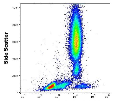 Mouse Anti Human Lambda Light Chain Antibody 4c2 Fitc Arg63054