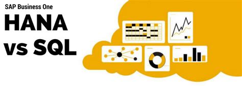 Sap Business One Hana Vs Sql De Microsoft