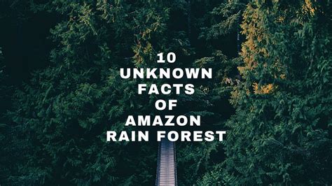 Amazon Rainforest Youtube