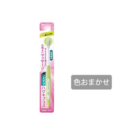 시스테마 하구기플러스 브러쉬 초콤팩트 유연함부드러움 거북이 라이온 칫솔 치주병케어 재팬스토어 일본약 의약품 전문