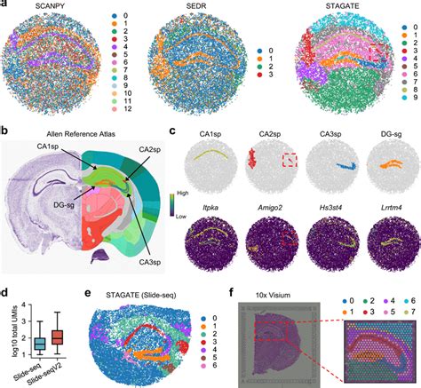 Stagate Improves The Identification Of Known Tissue Structures In The