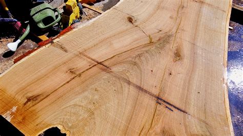 Urban Logging Matt Cremona