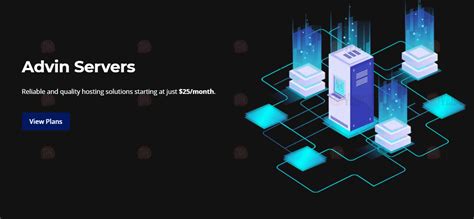 Advin Servers：国外vps，高内存vps，可选日本洛杉矶荷兰，2核10gb内存60gb Nvme存储，1gbps4tb流量