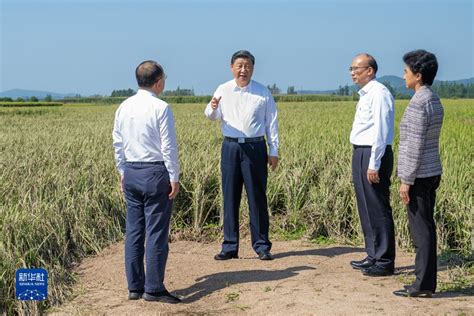 习近平在黑龙江考察时强调 牢牢把握在国家发展大局中的战略定位 奋力开创黑龙江高质量发展新局面党中央精神首都之窗北京市人民政府门户网站
