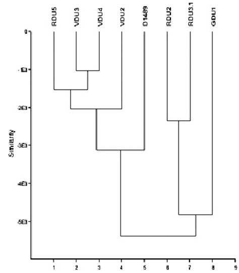 The Similarity Of The Sampling Sites On The Basis Of Rotifera Densities